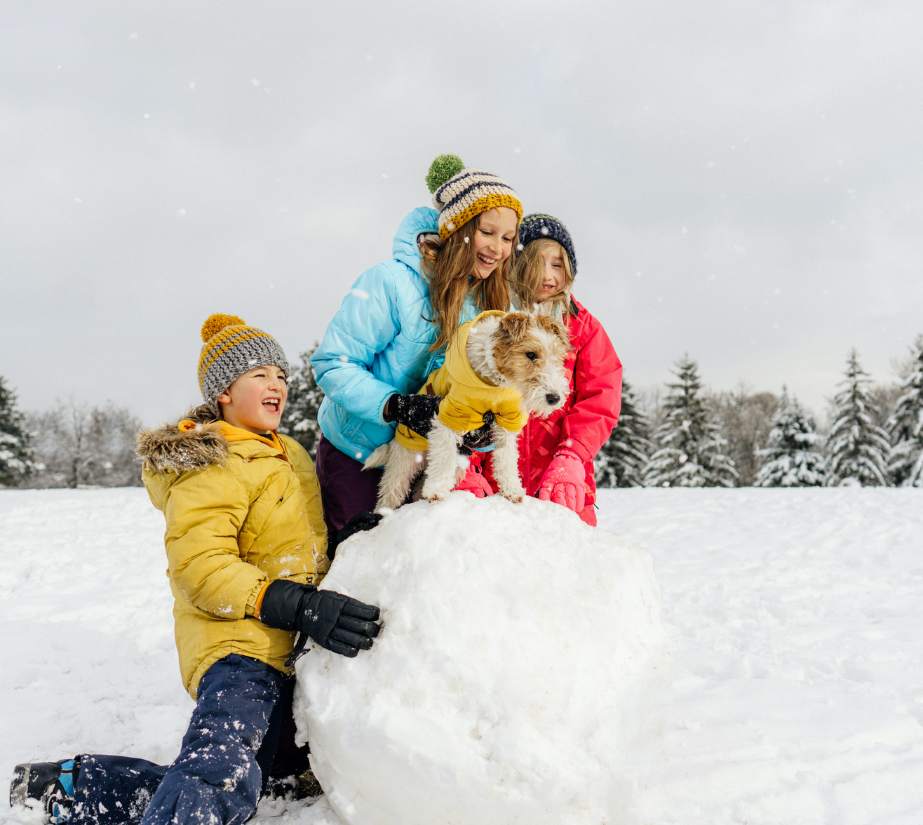 Fun Winter Activities for You and Your Dog | All Star Grooming