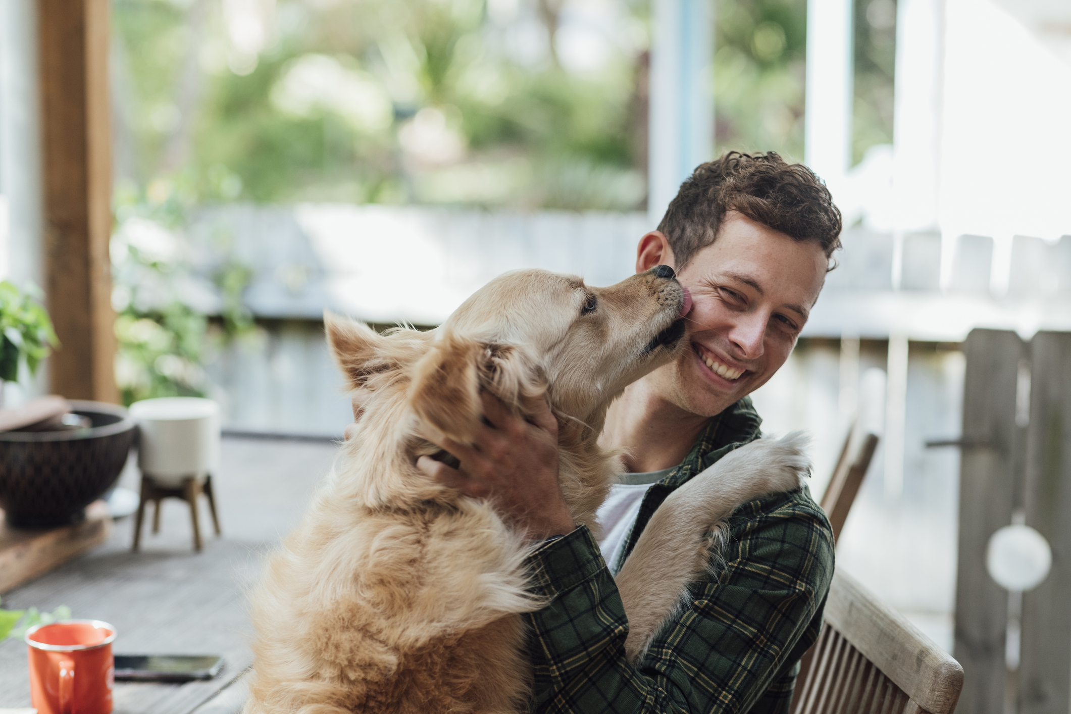 How Grooming Supports Your Pet’s Health | All Star Grooming
